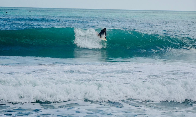Sebastian Inlet Surf 3/8/22